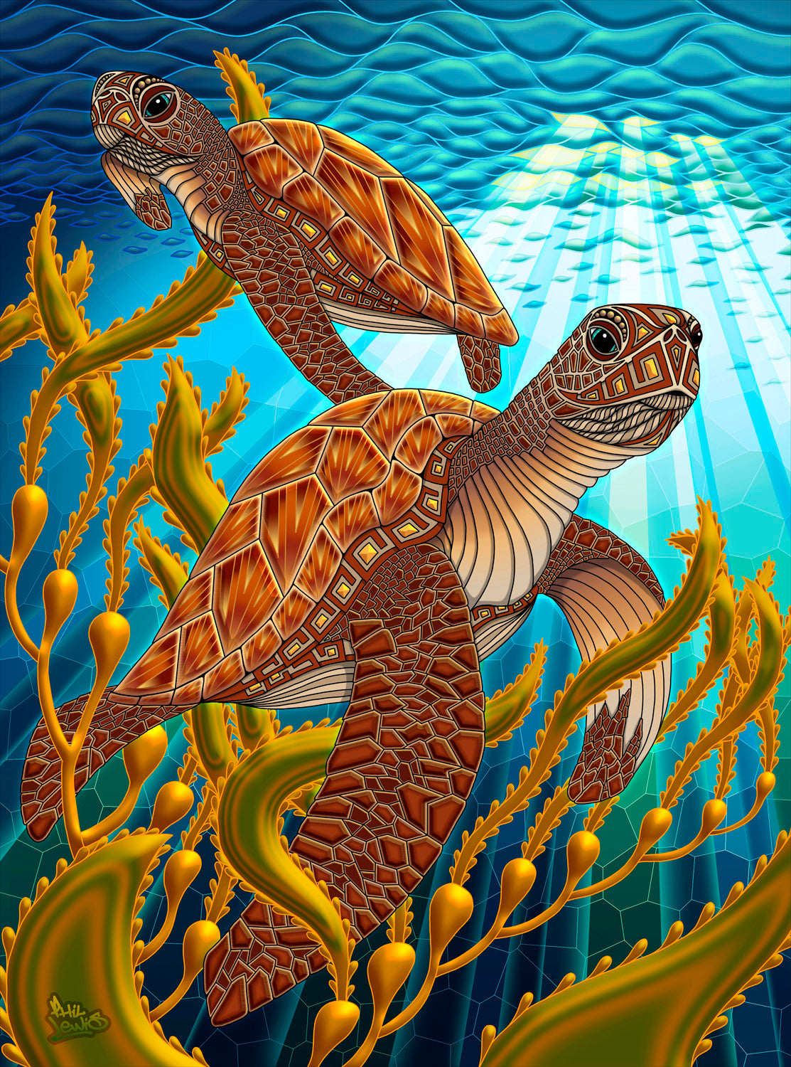 Sea Turtles - Photo Paper Print – Phil Lewis Art